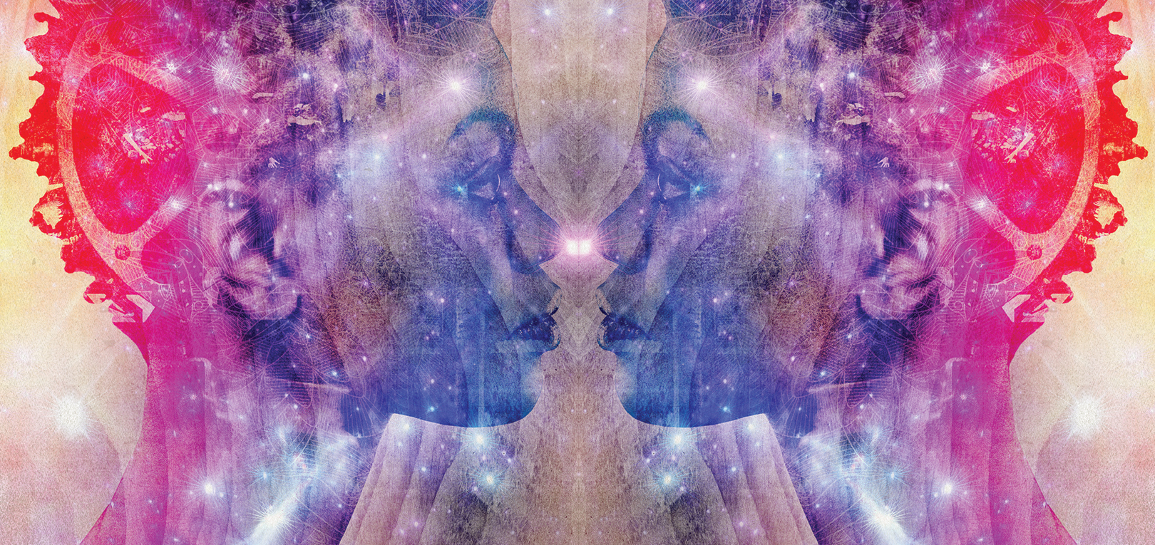 An Oversimplification of Her Beauty